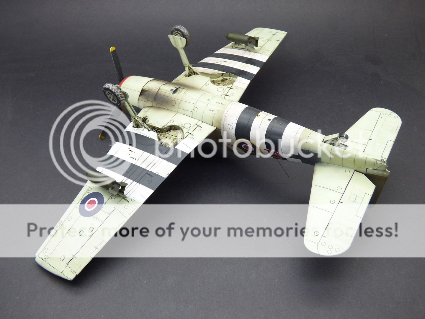 Eduard 1/48 Hellcat MK1 - International Scale Modeller