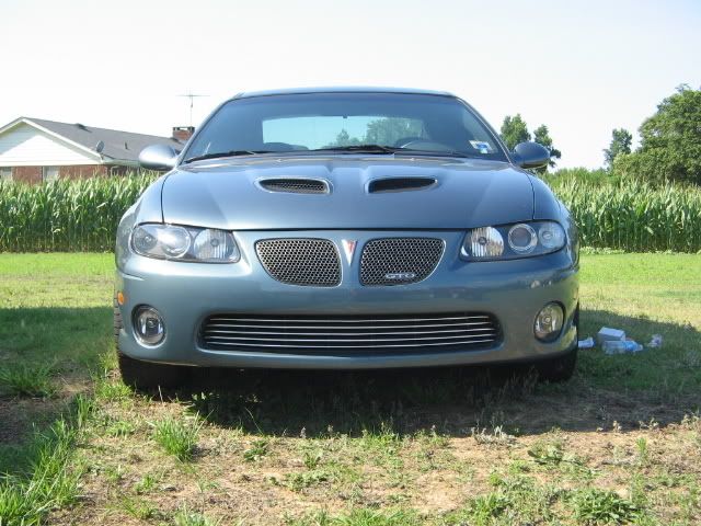 **Offical GTO Thread** Post em up!!... | LS1GTO Forums