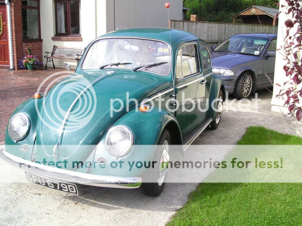 Java Green 1966 beetle (AKA Verdi)! | Volkszone Forum