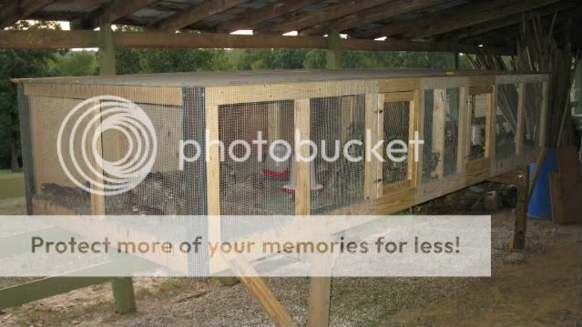 Show me your quail pens!!! | Page 25 | BackYard Chickens - Learn How to ...