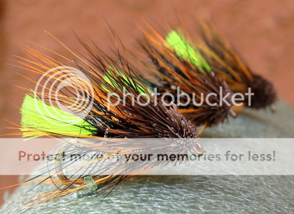 Attractor patterns for top dropper | Fly Fishing Forum